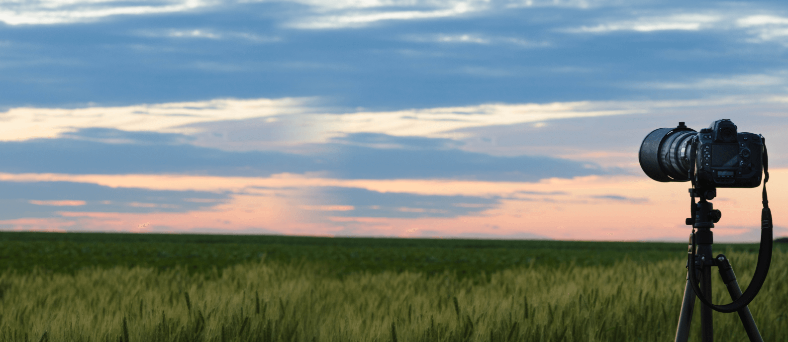 Complete Savings - Get Cashback when you shop with us