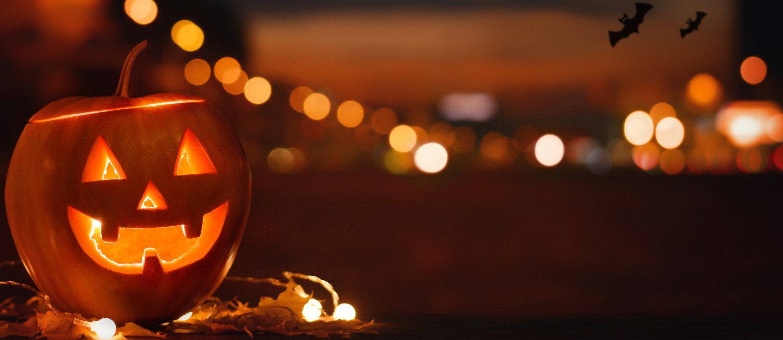 Complete Savings - Get Cashback when you shop with us